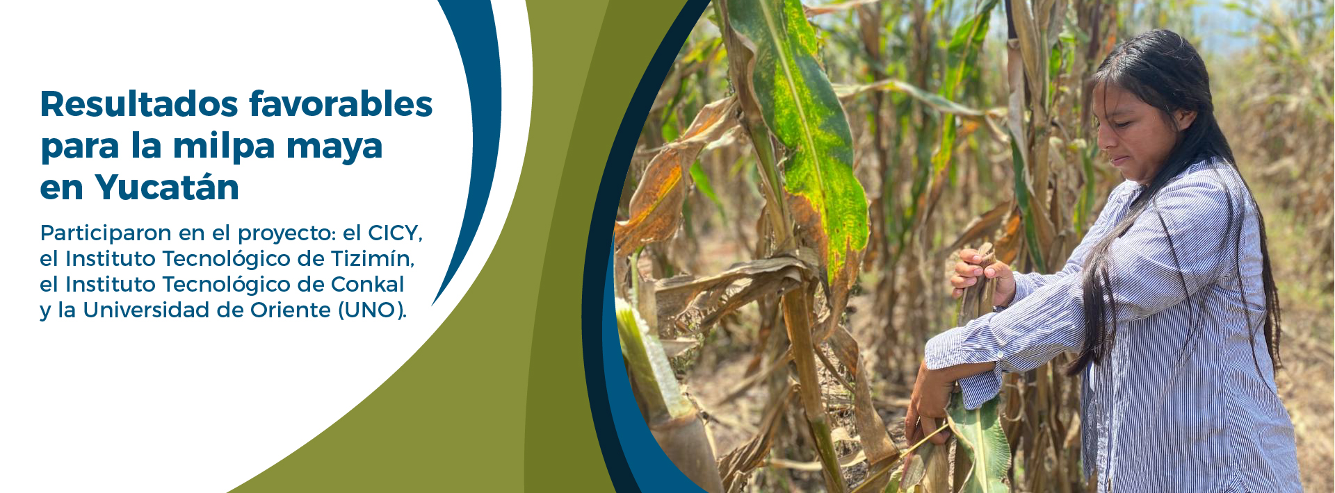 Boletín 09 - Resultados favorables para la milpa maya en Yucatán